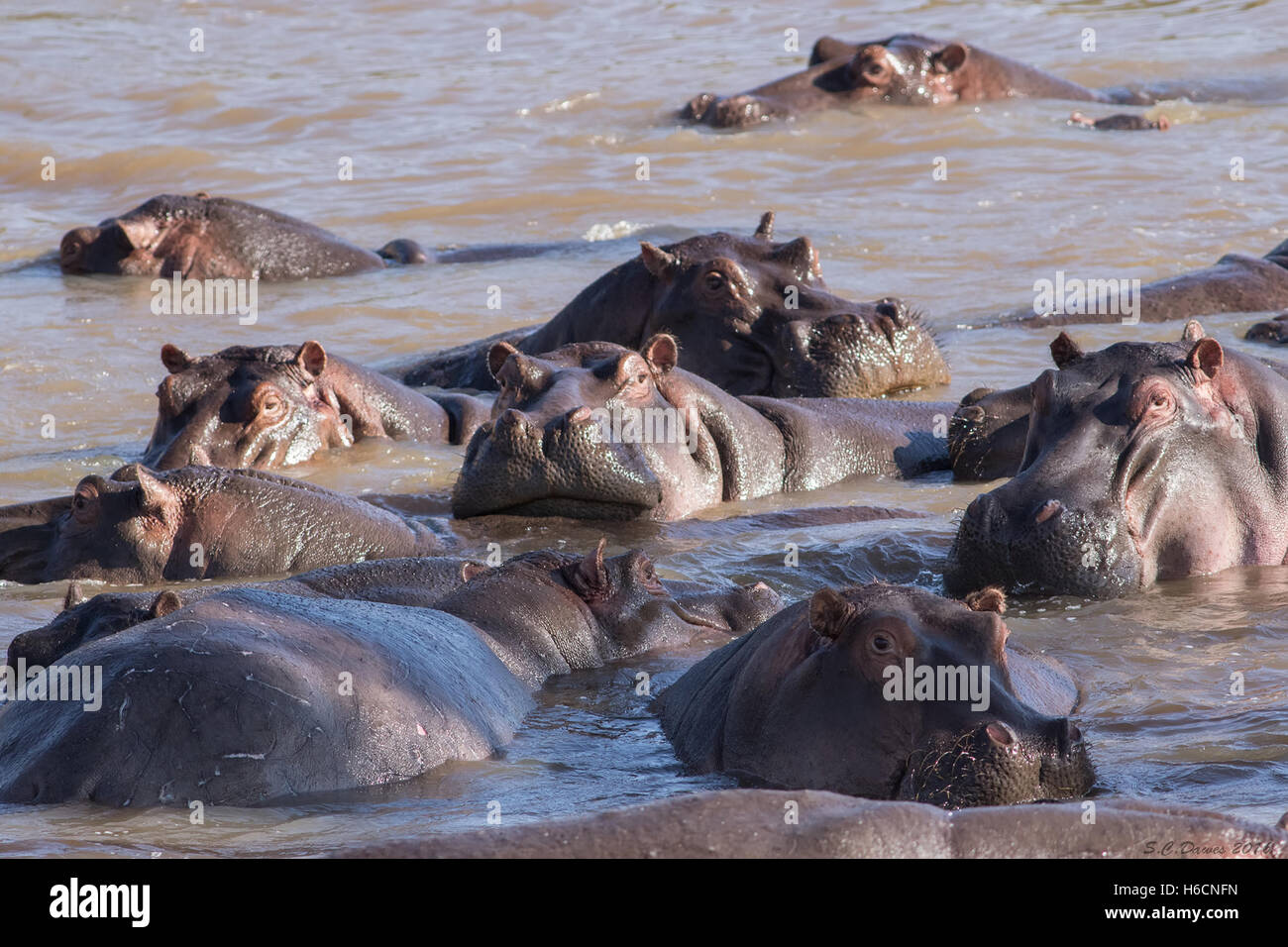Its getting a bit tight in here Stock Photo - Alamy