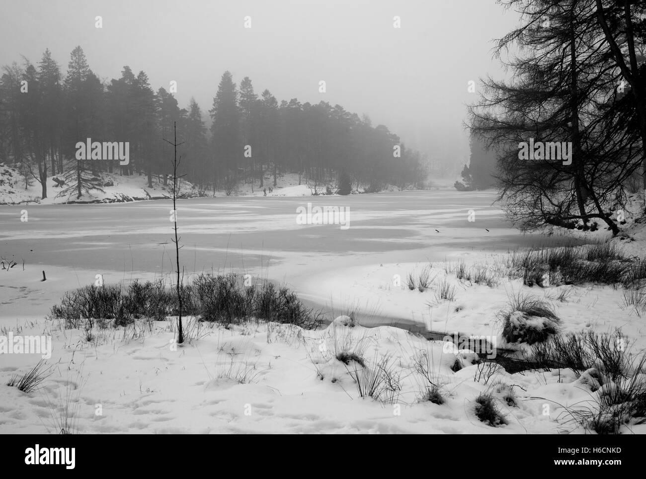 Frozen lakes in snowy Black and White Stock Photos & Images - Alamy