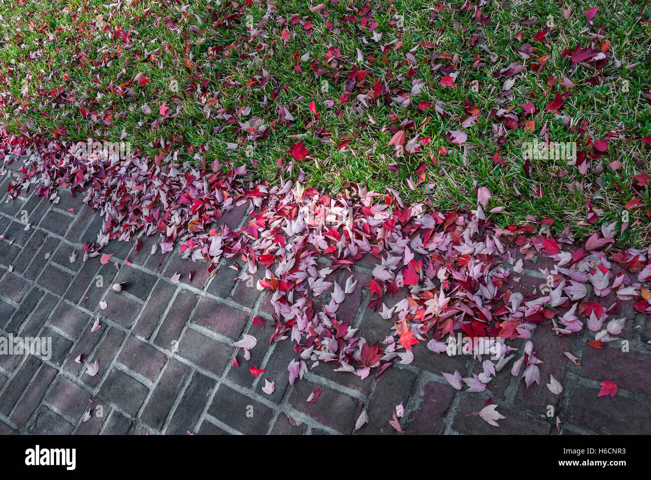 Change of ground grass hi-res stock photography and images - Alamy
