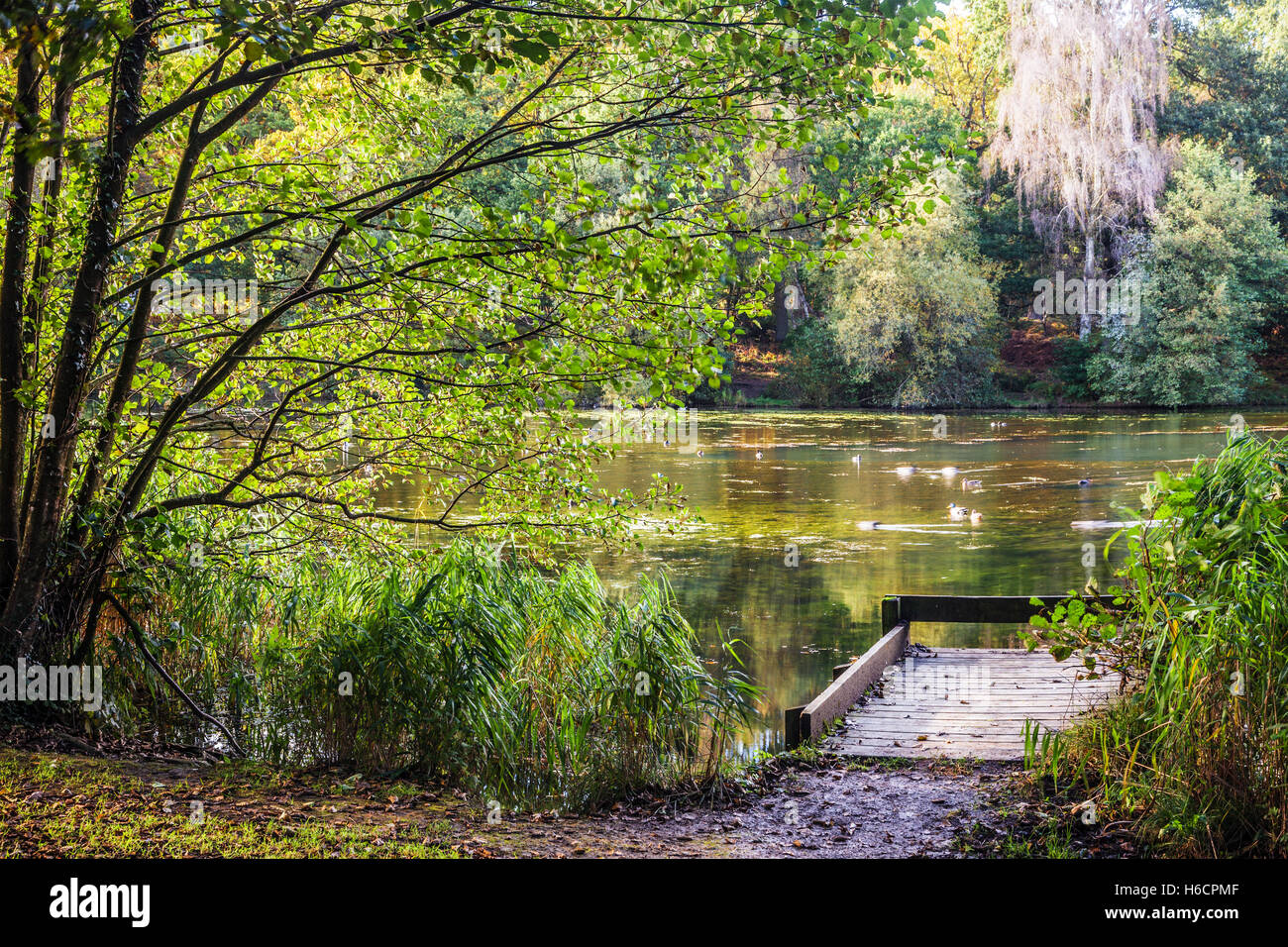 Man made ponds hi-res stock photography and images - Alamy
