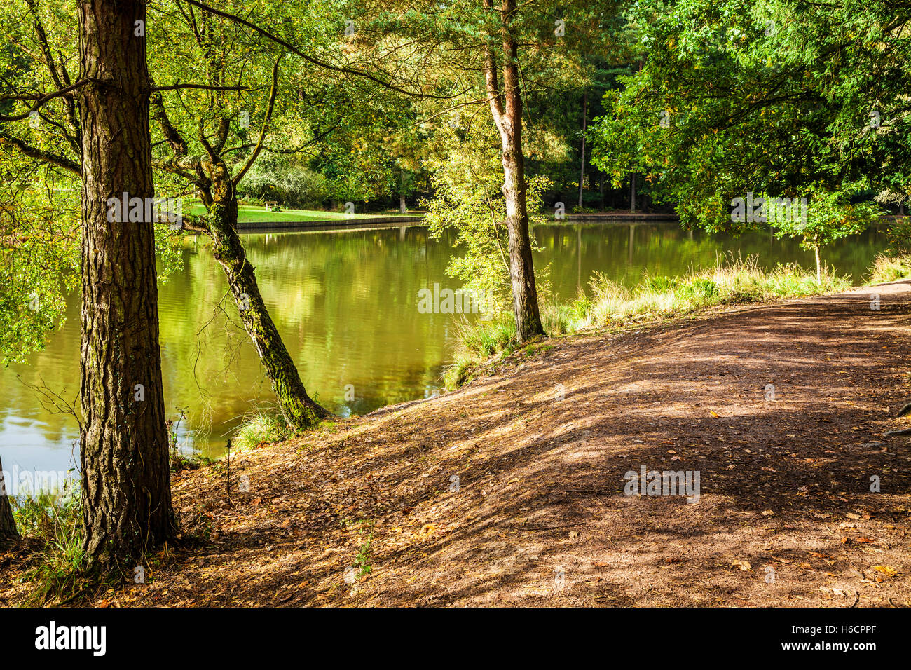 Mallards Pike in the Forest of Dean, Gloucestershire Stock Photo - Alamy