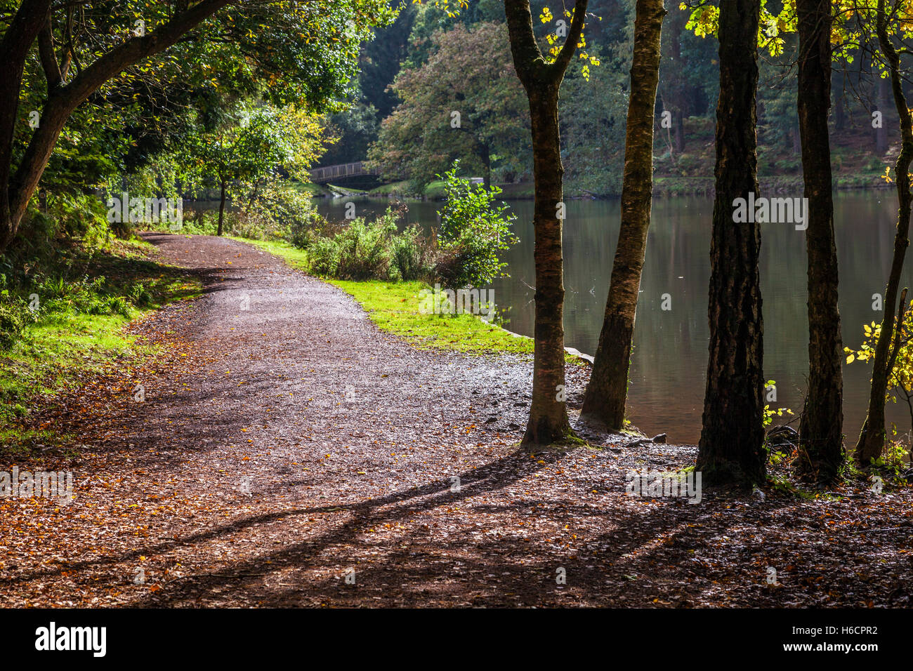 Mallards pike in forest dean hi-res stock photography and images - Alamy