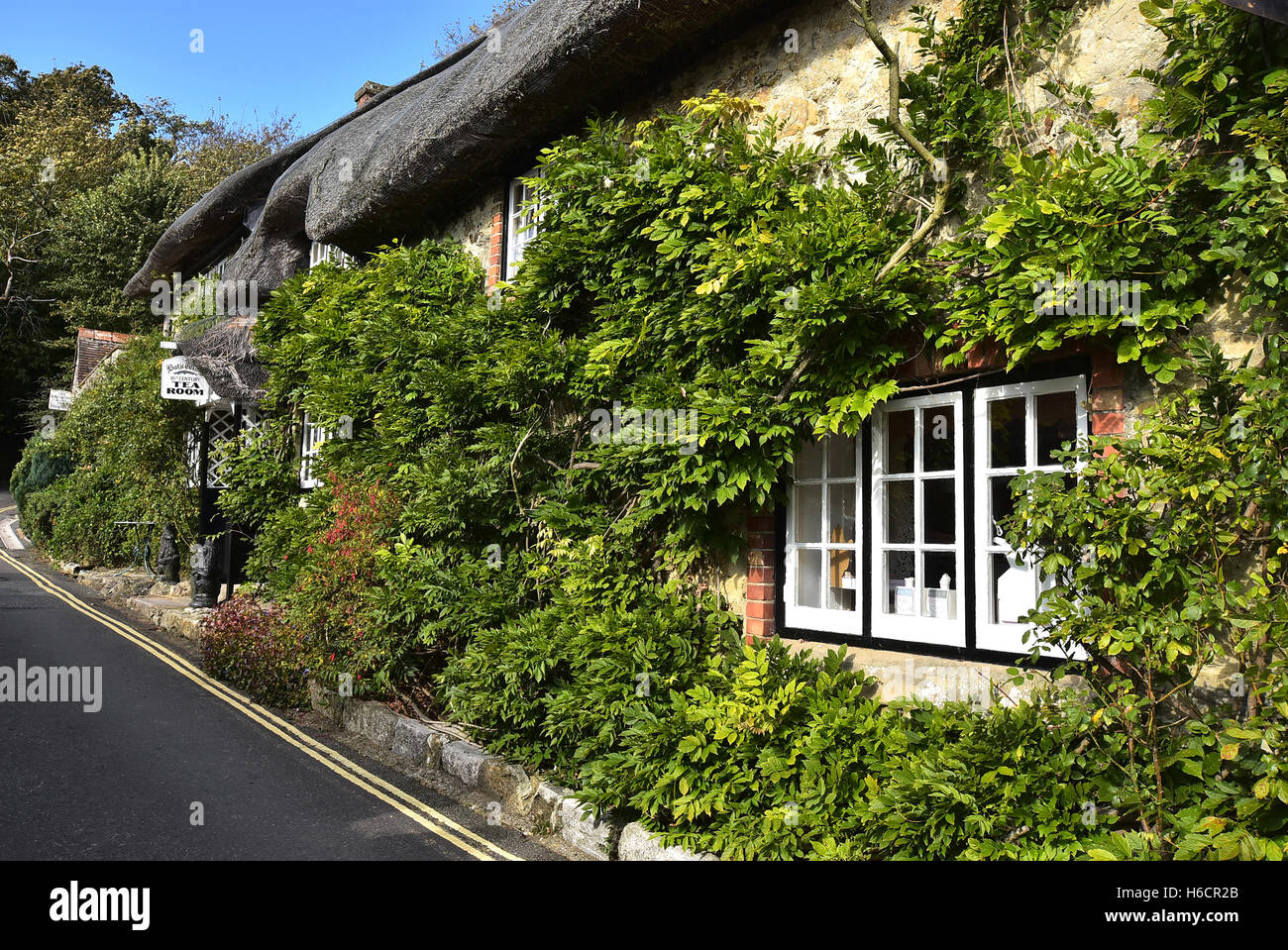 Thatched Cottage in Godshill, Isle of Wight Stock Photo - Alamy