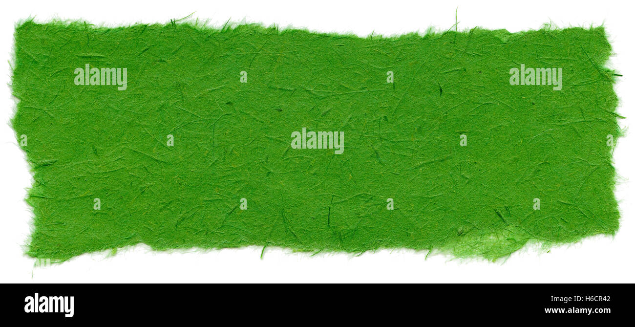 Texture of India green rice paper with torn edges. Isolated on white ...