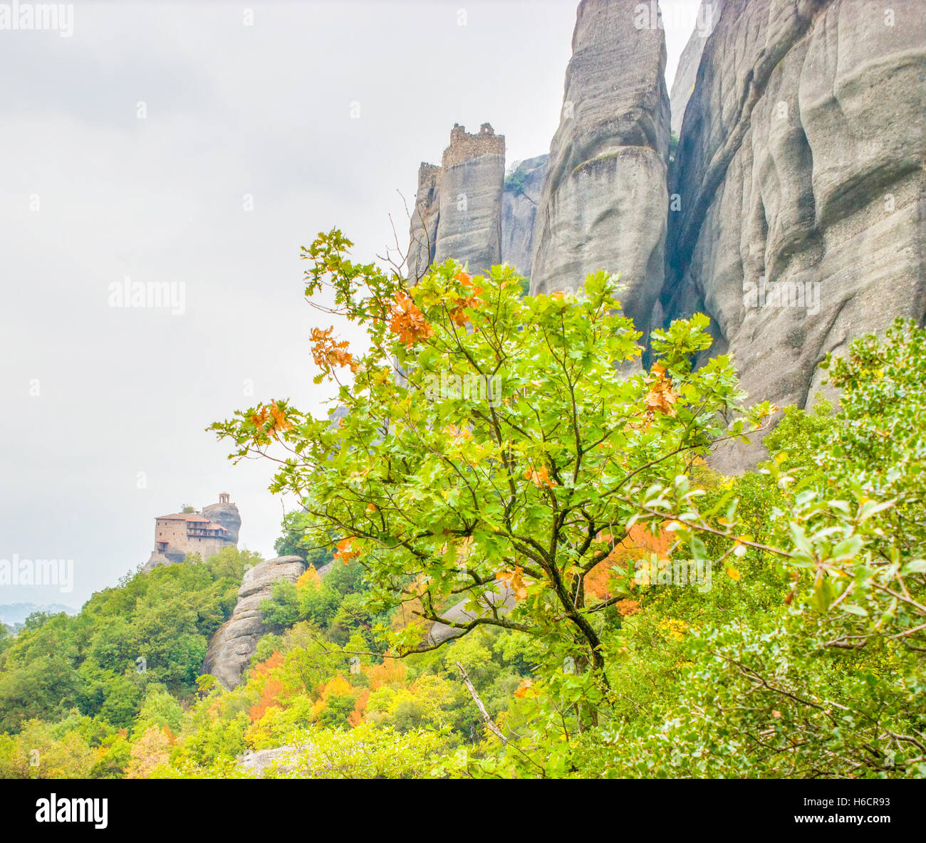 There are an old forest between the rocks of Meteora. There are two ...