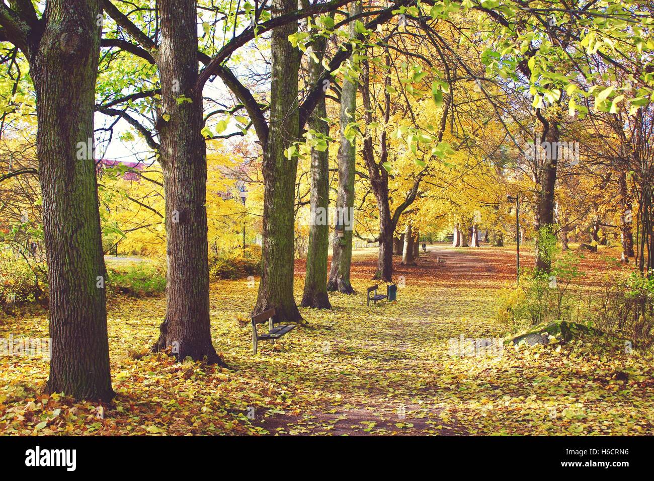 Seasons walk hi-res stock photography and images - Alamy