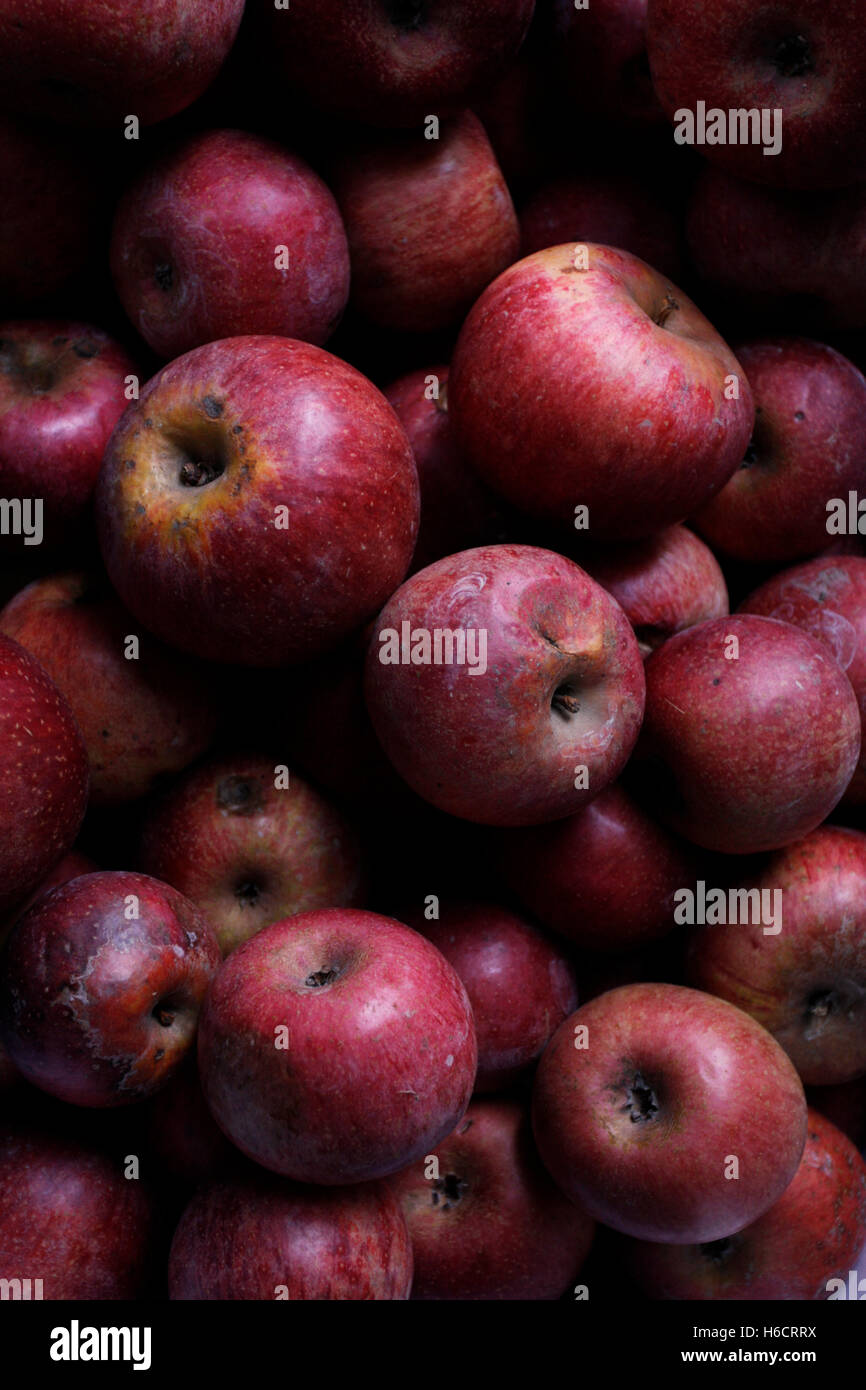 Organic Annurca apples Stock Photo - Alamy