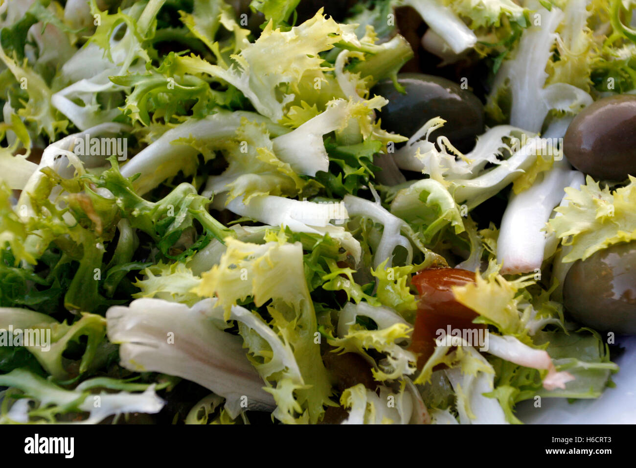 "Insalata di rinforzo", chicorium envidia salad, traditional Christmas ...