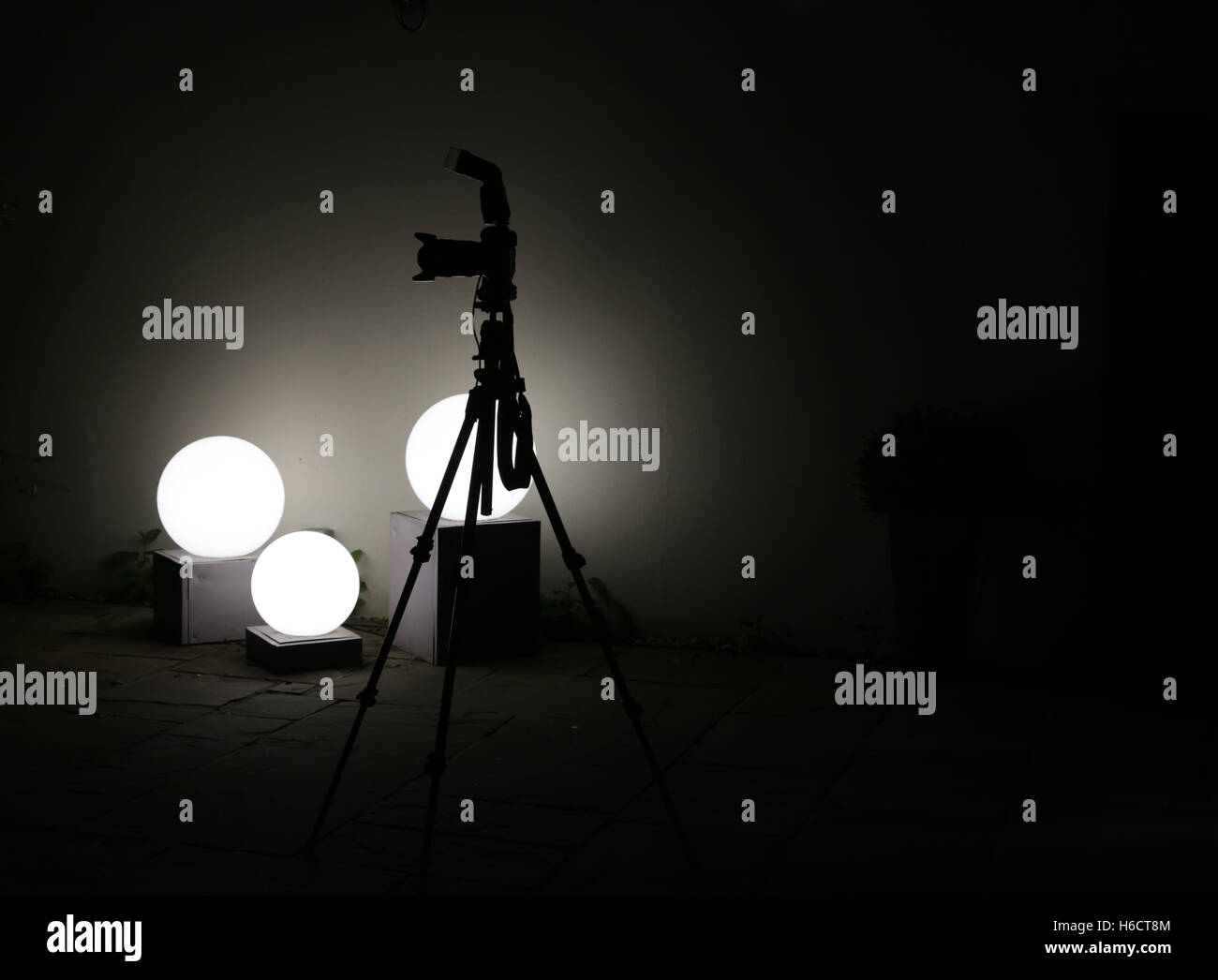 Camera backlight hi-res stock photography and images - Alamy