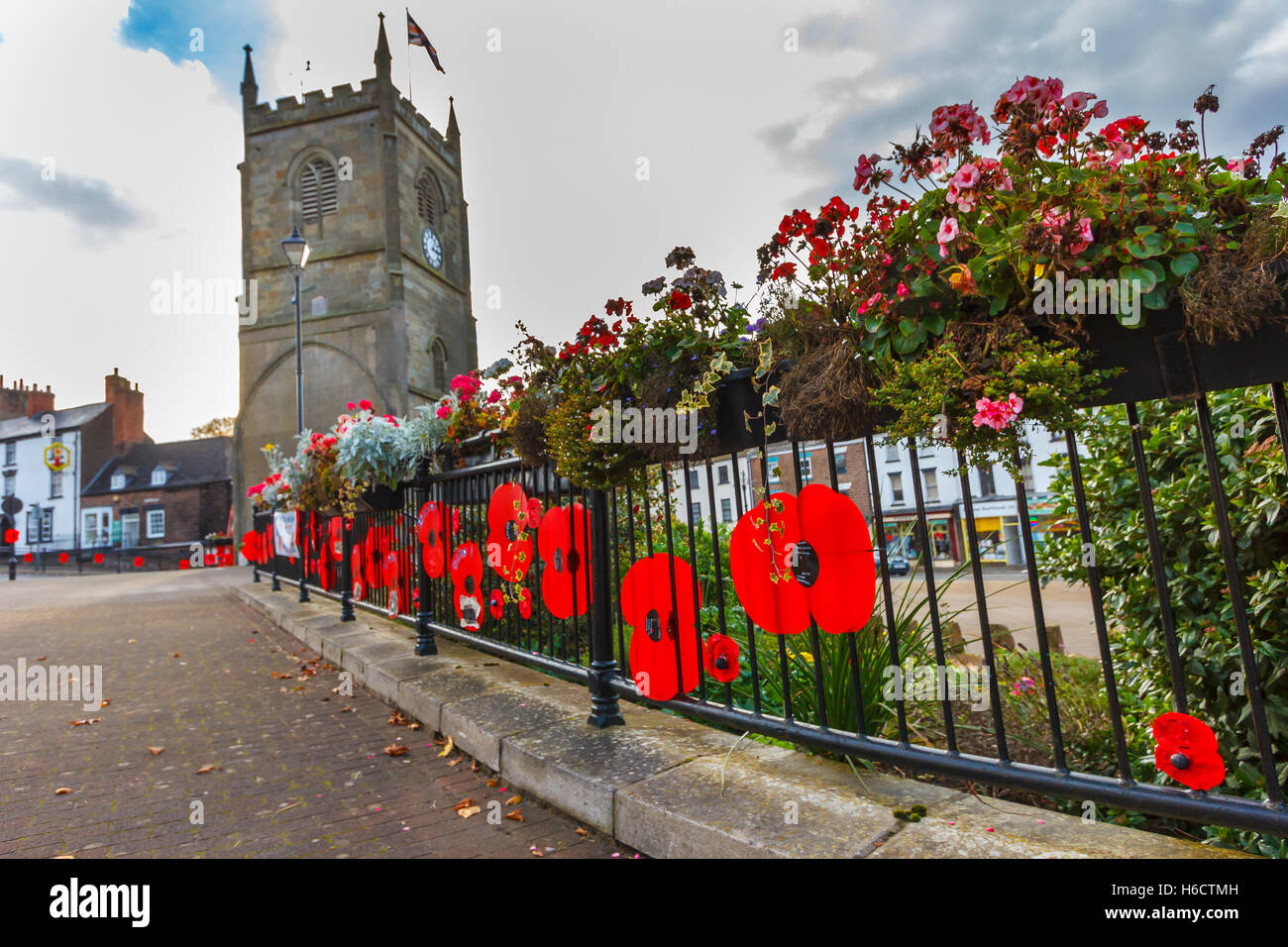 Remembrance poppy Sunday Stock Photo - Alamy