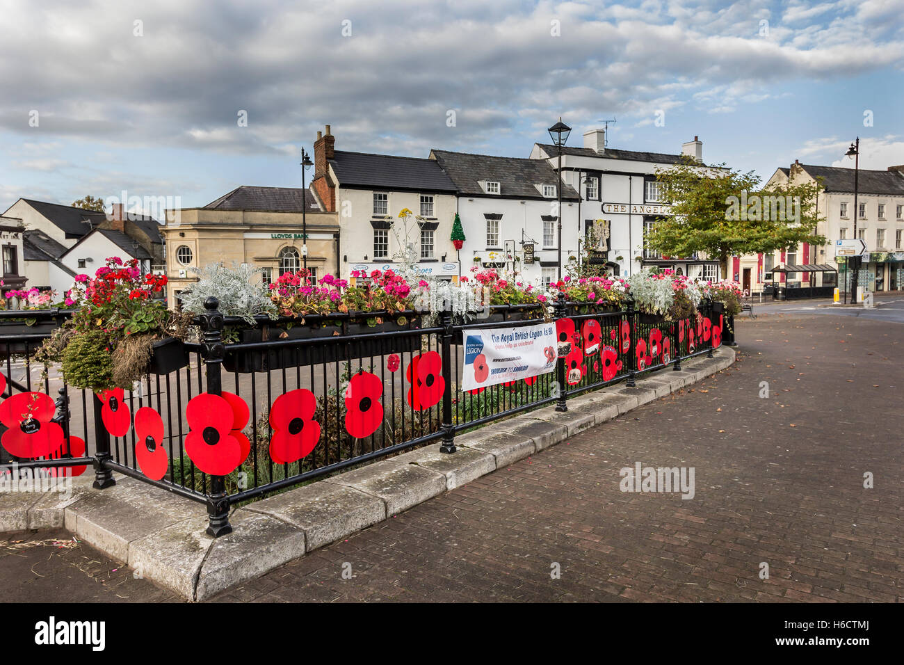 Remembrance poppy Sunday Stock Photo - Alamy