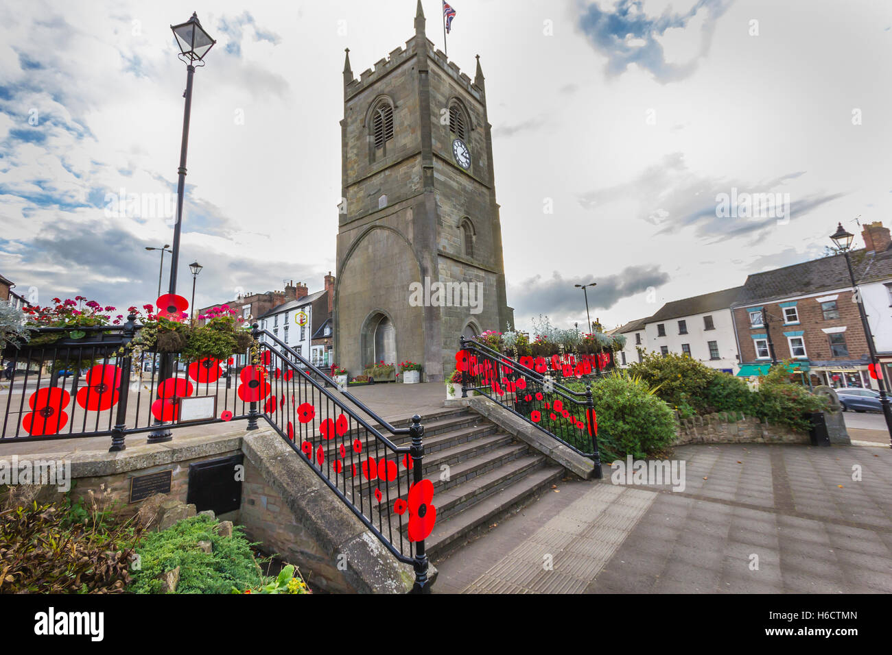 Remembrance poppy Sunday Stock Photo - Alamy