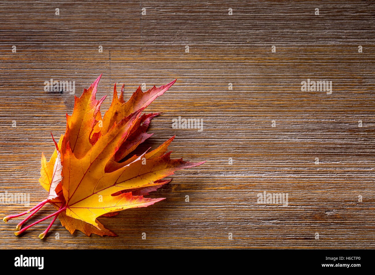 Loose leave hi-res stock photography and images - Alamy
