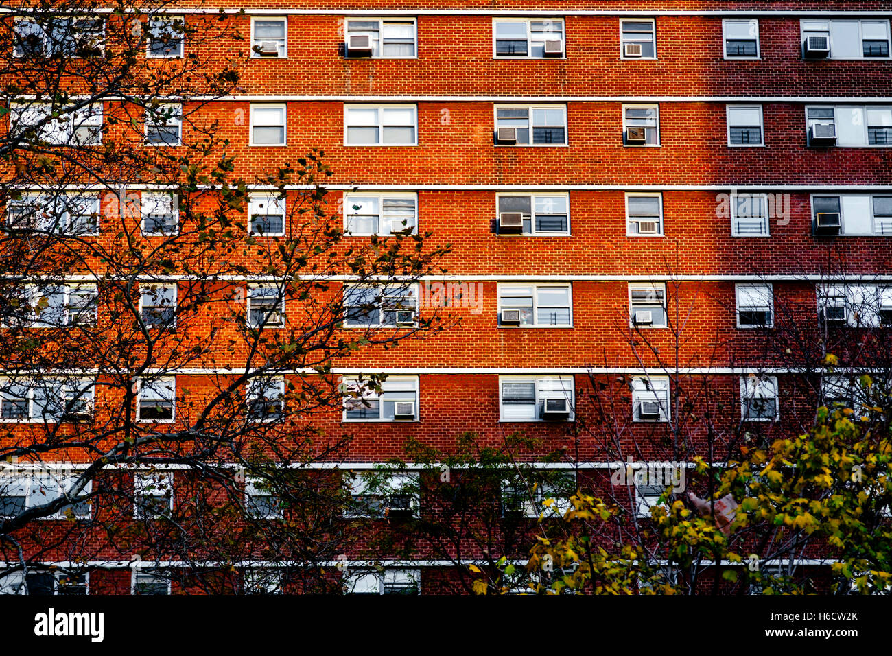Cluster of high rise apartment building's windows Stock Photo - Alamy