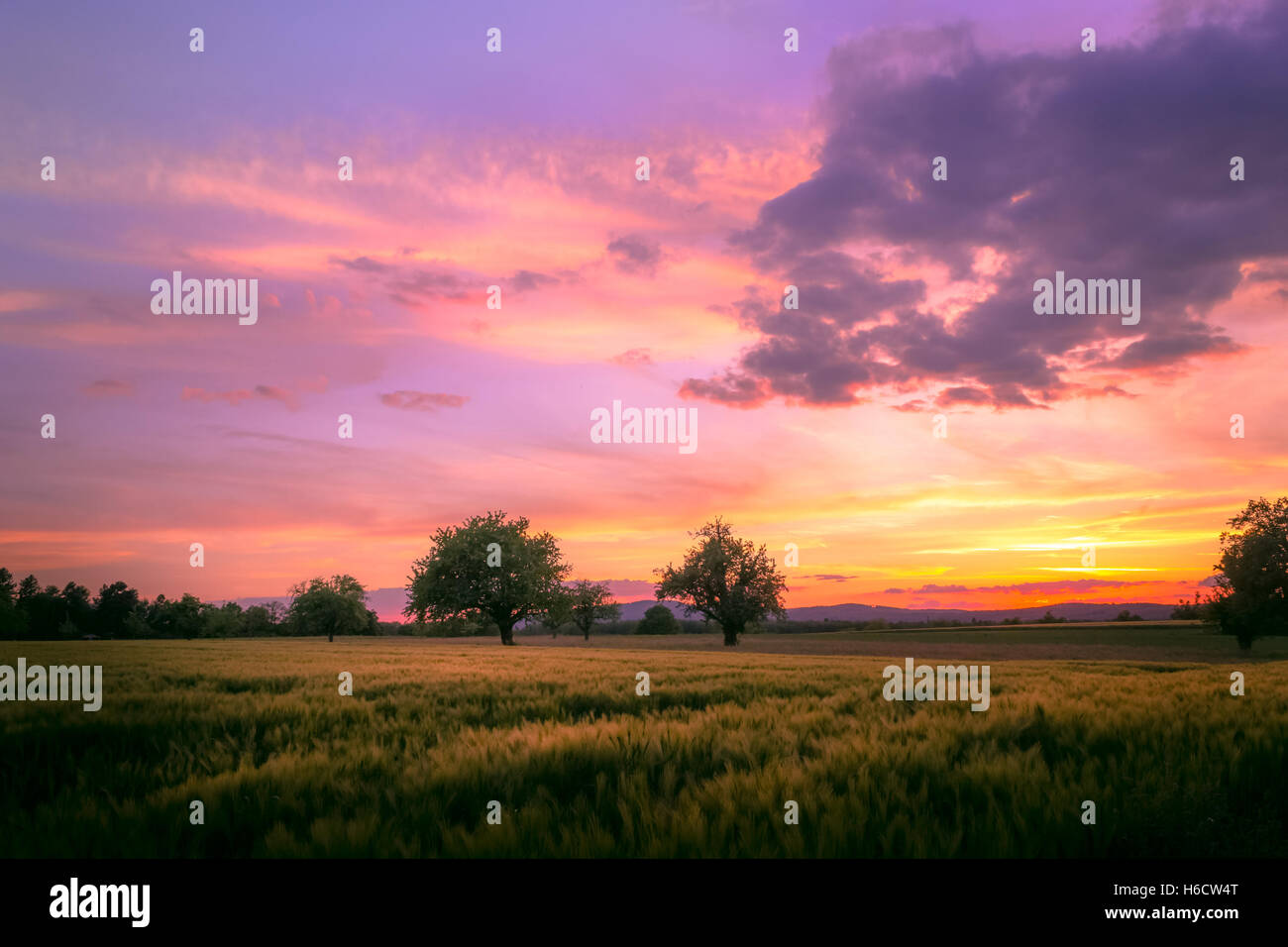 Golden sunset with colorful clouds and foreground in the countryside ...
