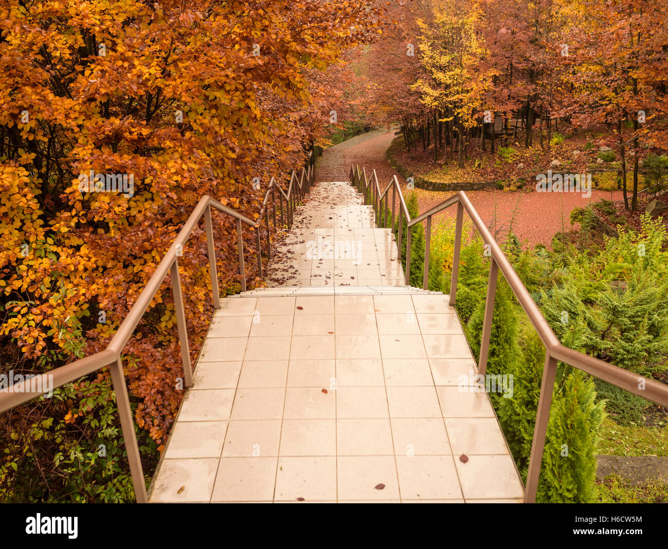 Staircase in autumn park Stock Photo - Alamy