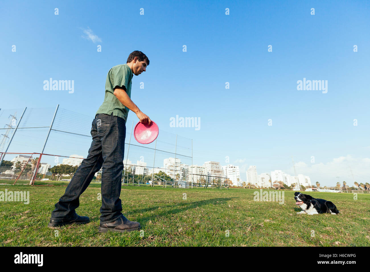 A Border Collie dog having fun playing a game of frisbee with his owner ...
