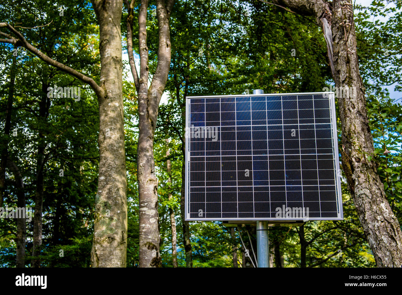Sunlit Solar Panel in the Forest Stock Photo - Alamy