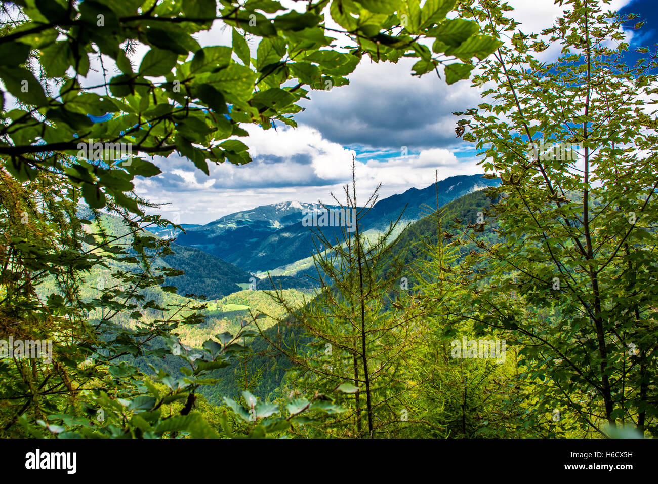 Landscape with Hills and Forest in Austria Stock Photo - Alamy