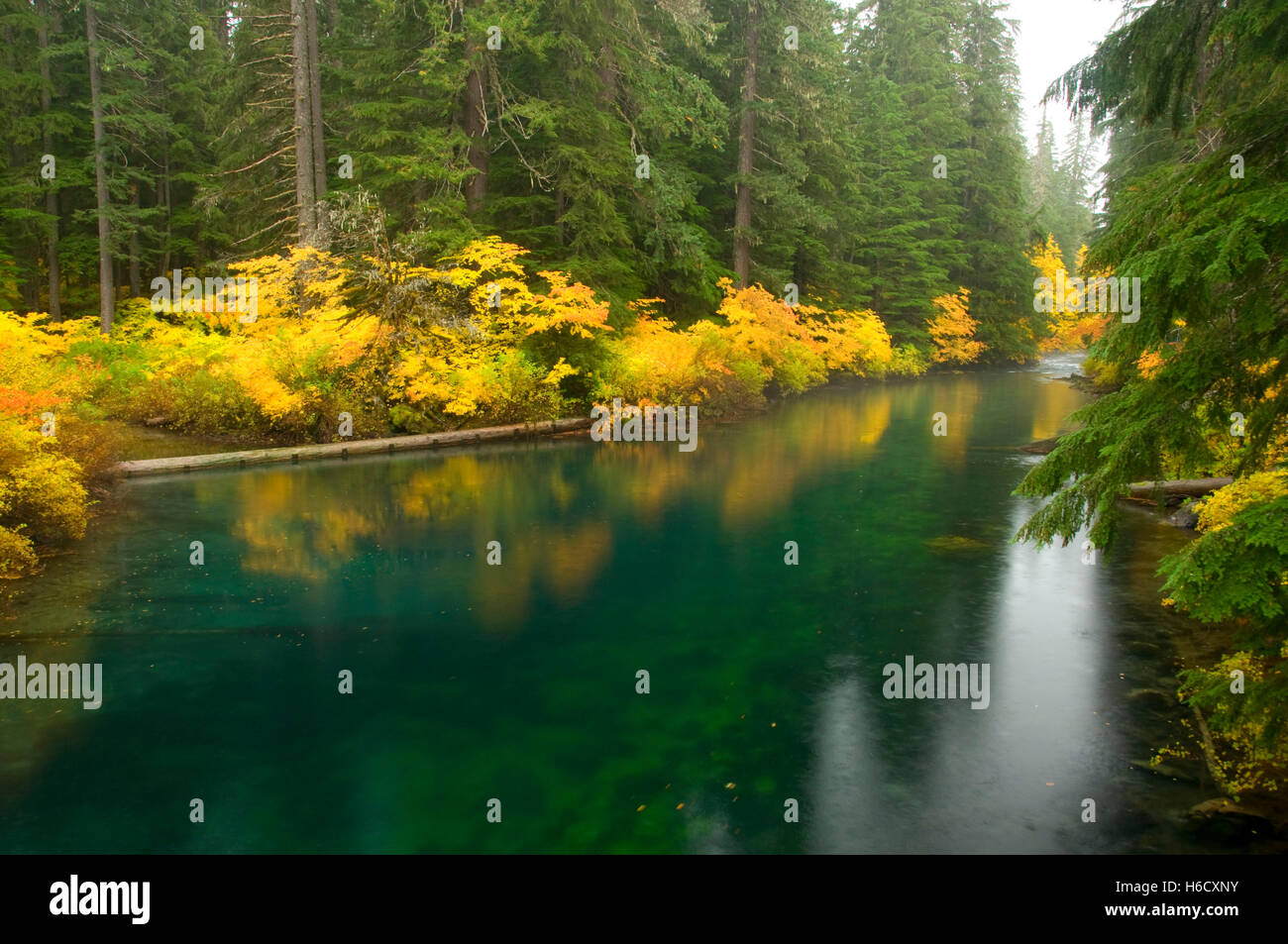 Clear Lake, McKenzie Pass-Santiam Pass National Scenic Byway ...