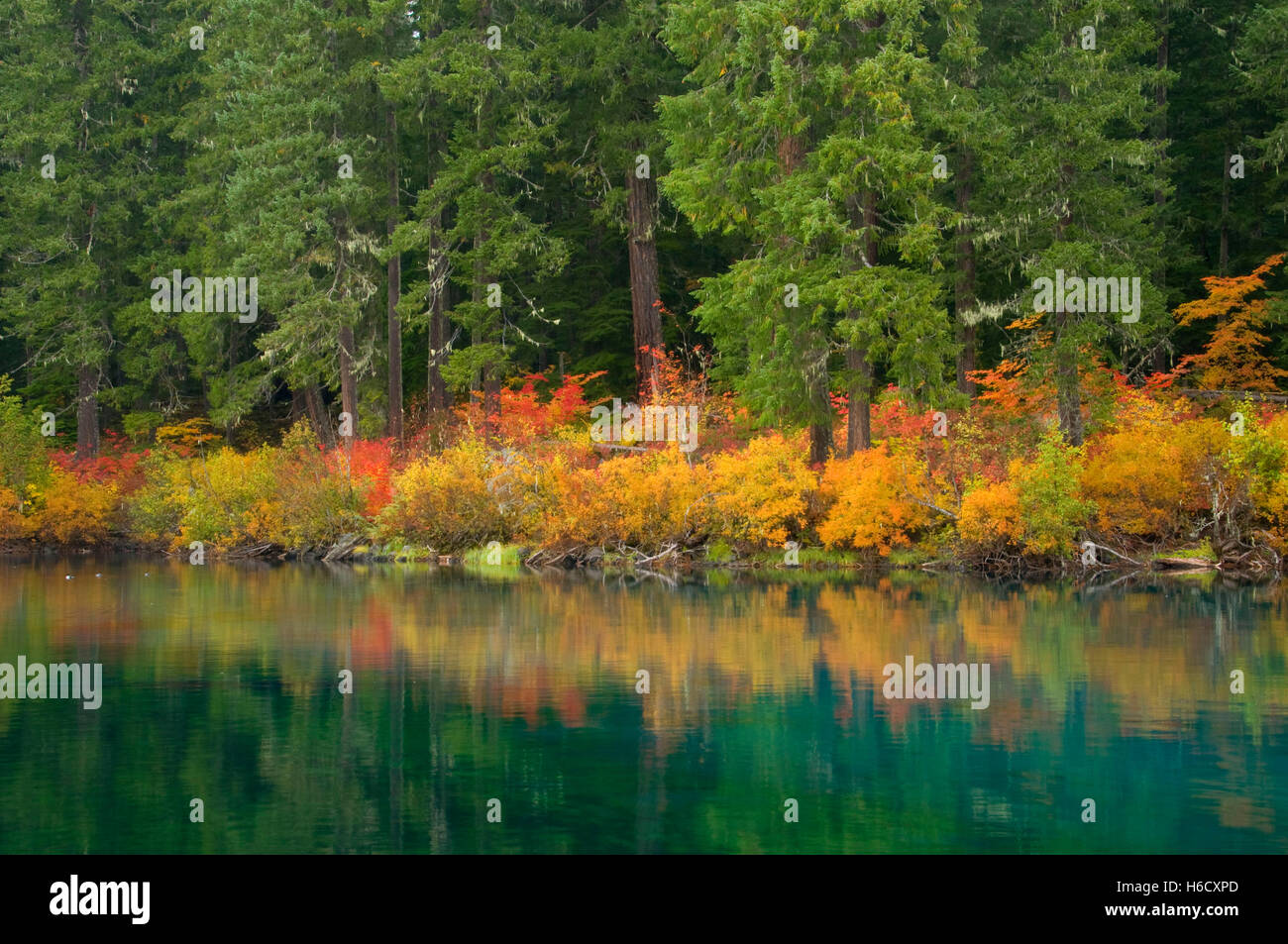 Clear Lake, McKenzie Pass-Santiam Pass National Scenic Byway ...