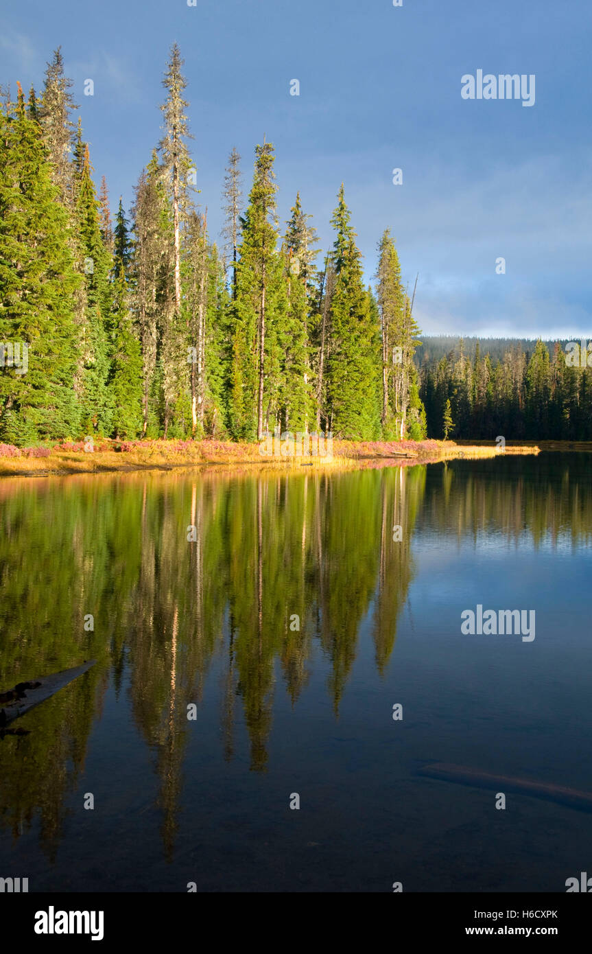 Scott Lake, McKenzie Pass-Santiam Pass National Scenic Byway ...