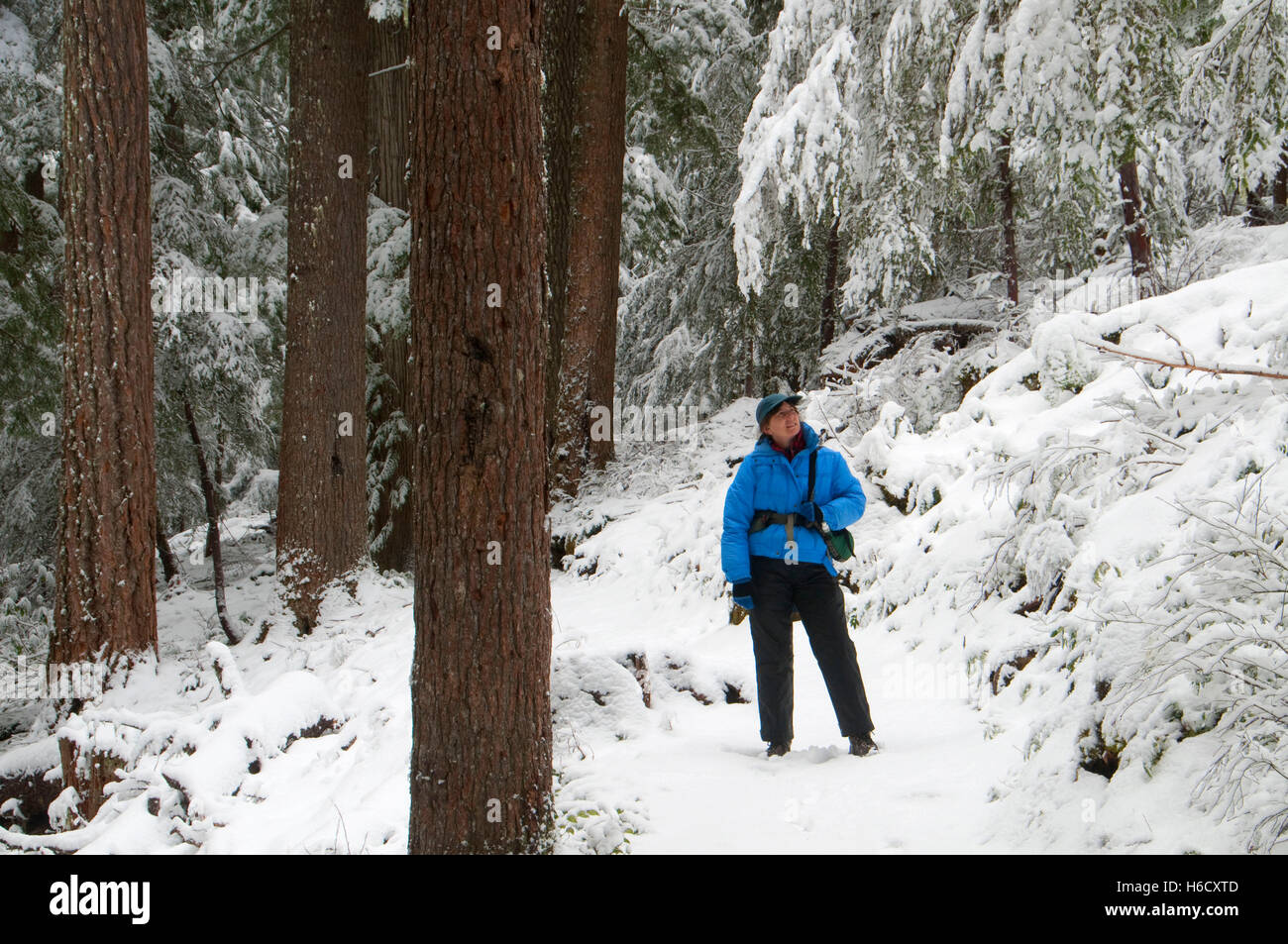 Marion lake trail hi-res stock photography and images - Alamy