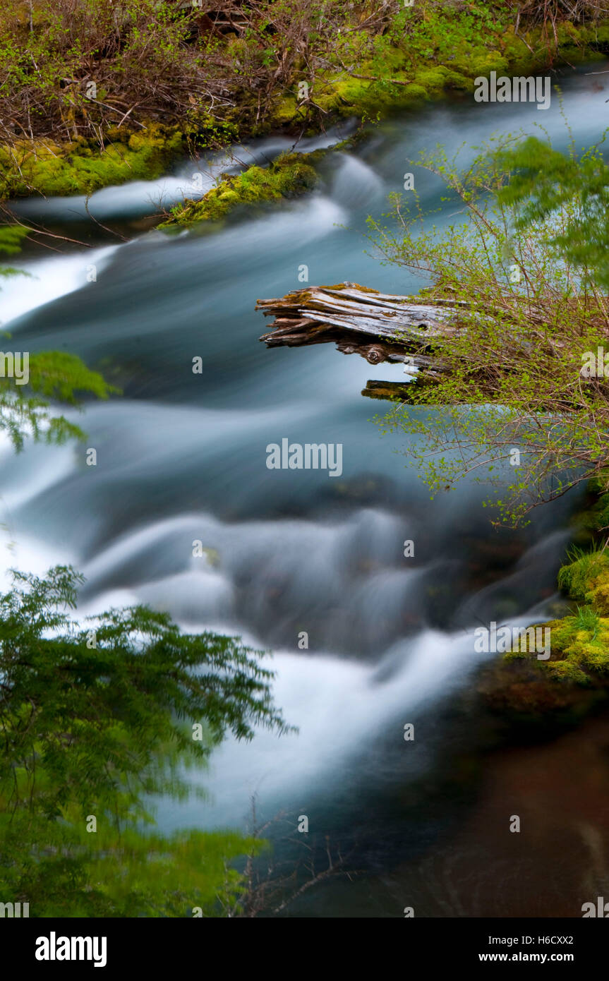 McKenzie Wild and Scenic River along McKenzie River National Recreation ...