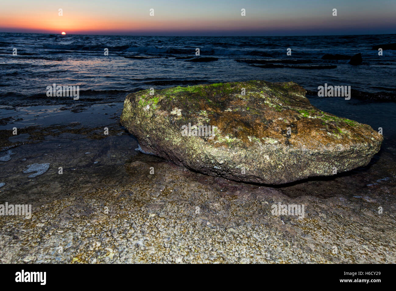 Algae covered rock overlooking the sunset illuminated sea Stock Photo ...