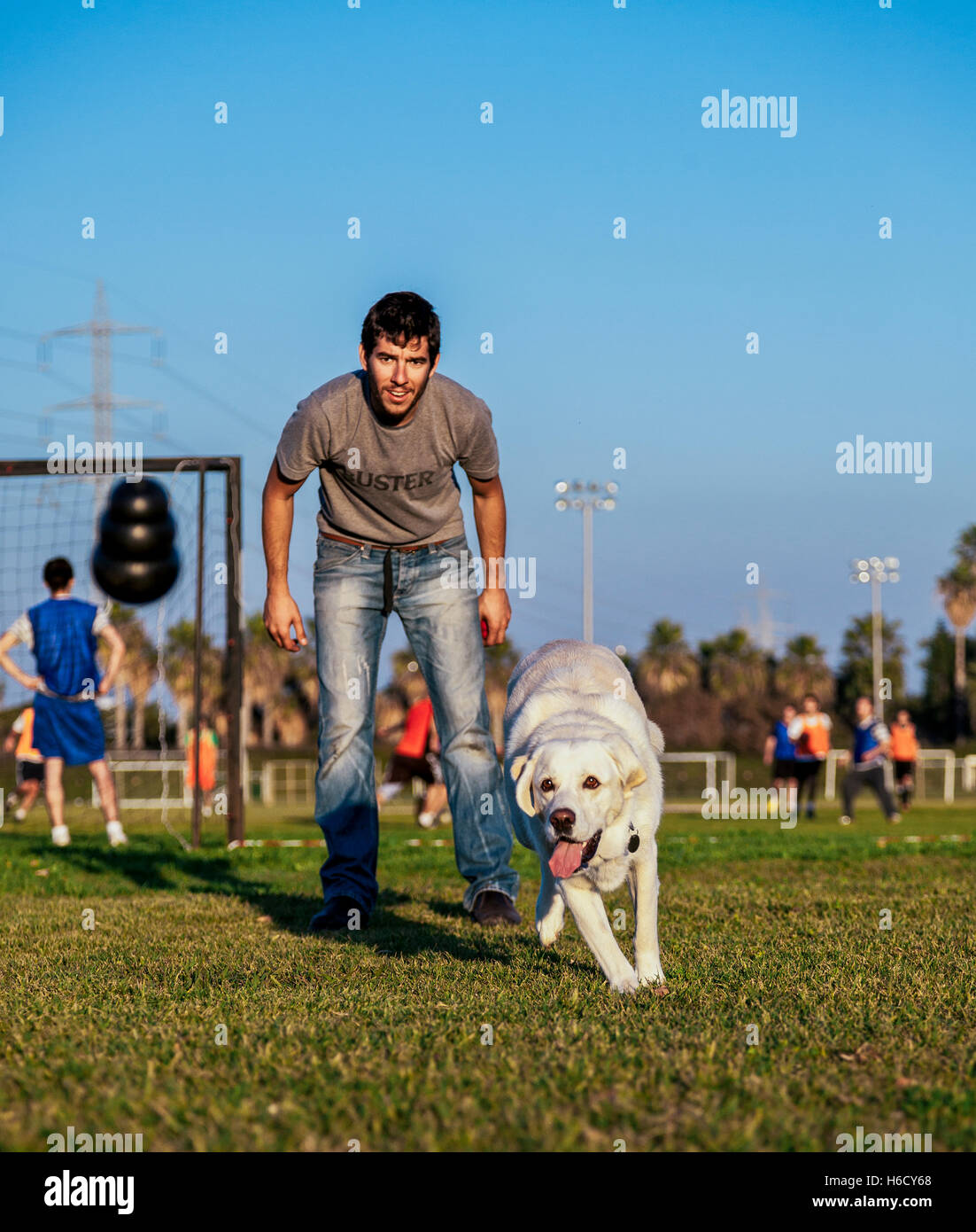 A white mixed Labrador female dog playing a game of fetch with her ...