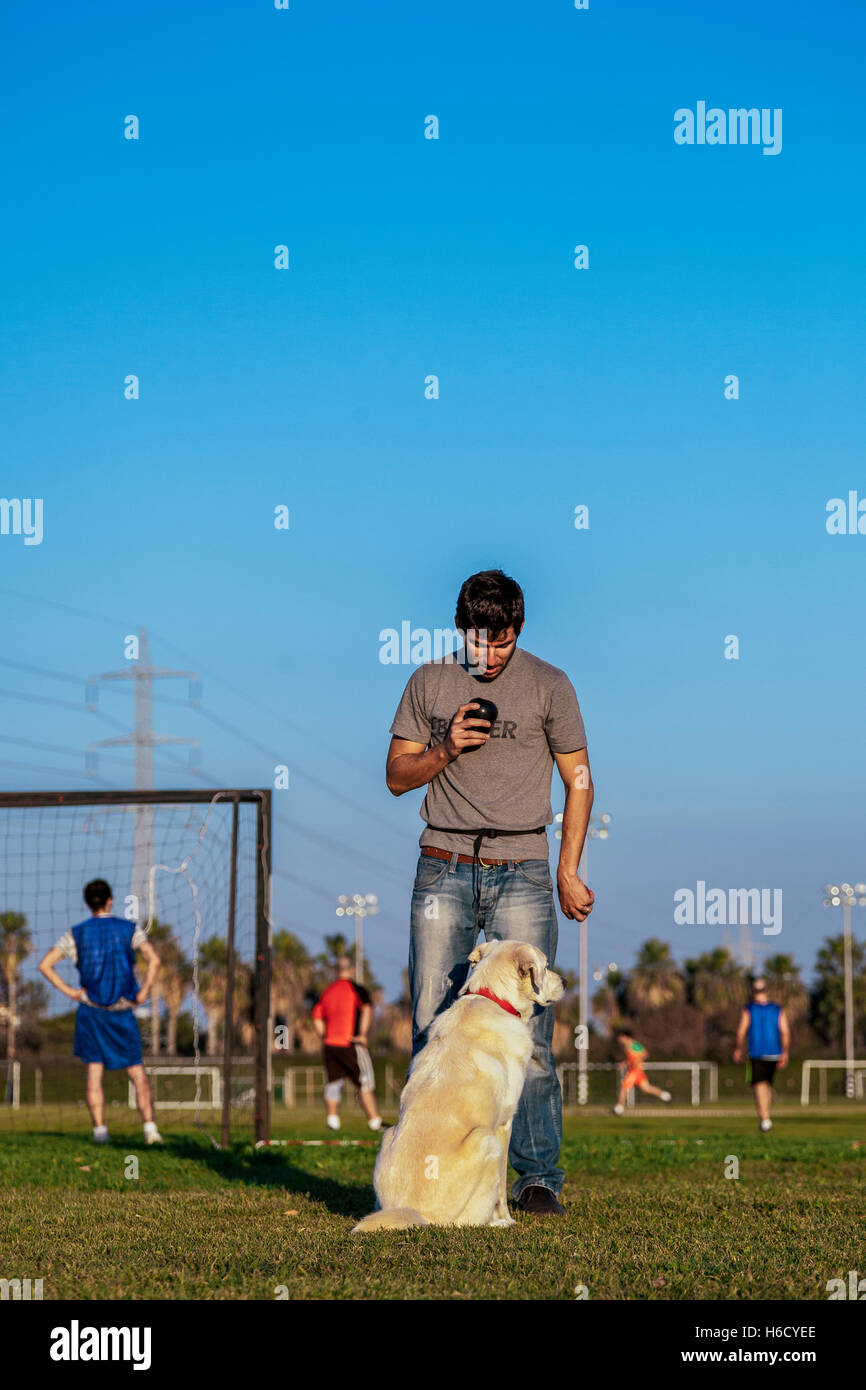 A white mixed Labrador female dog playing a game of fetch with her ...