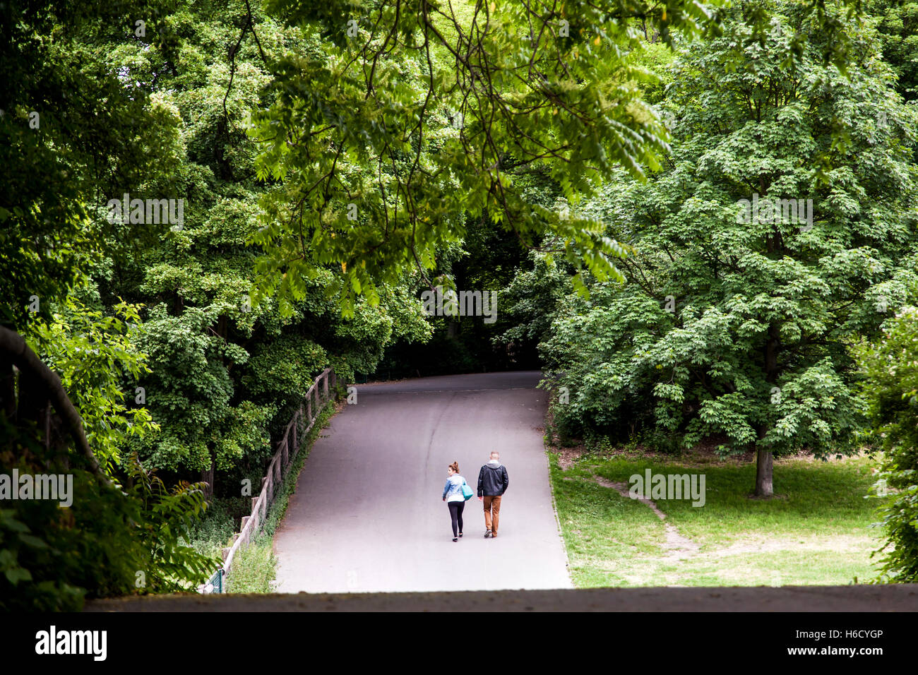 Trees and paths in a green park on an inclement day Stock Photo - Alamy