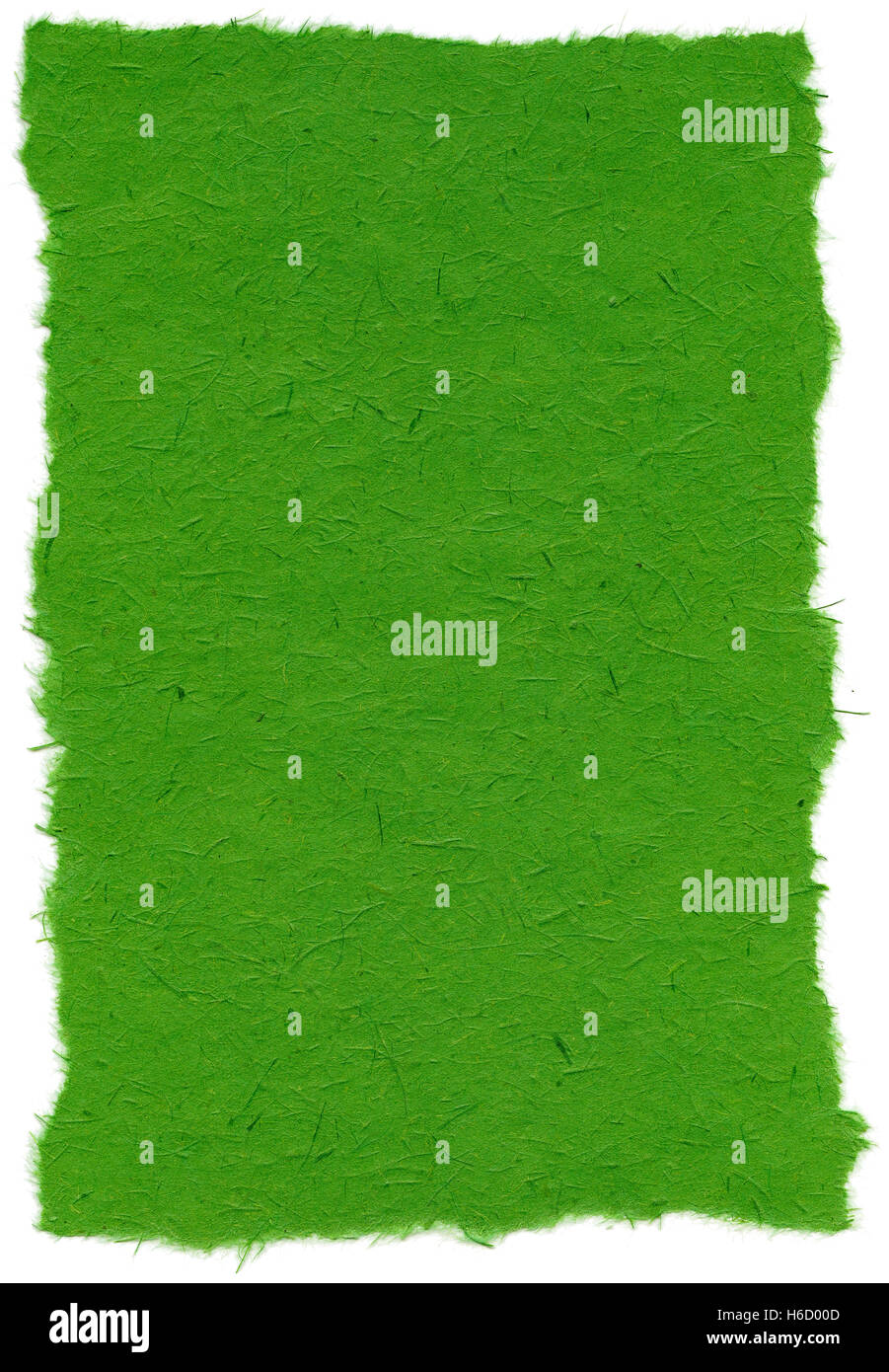 Texture of India green rice paper with torn edges. Isolated on white ...