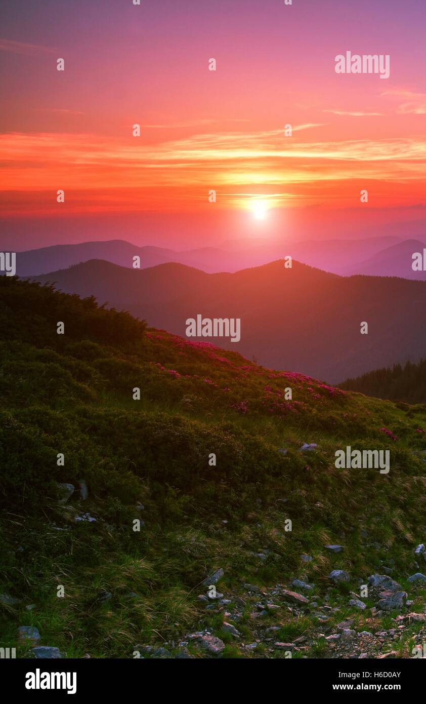 beautiful autumn landscape in Europe, beauty world Stock Photo - Alamy
