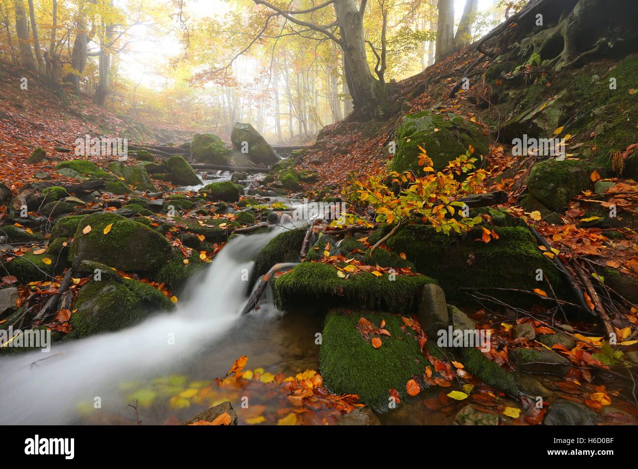beautiful autumn landscape in Europe, beauty world Stock Photo - Alamy