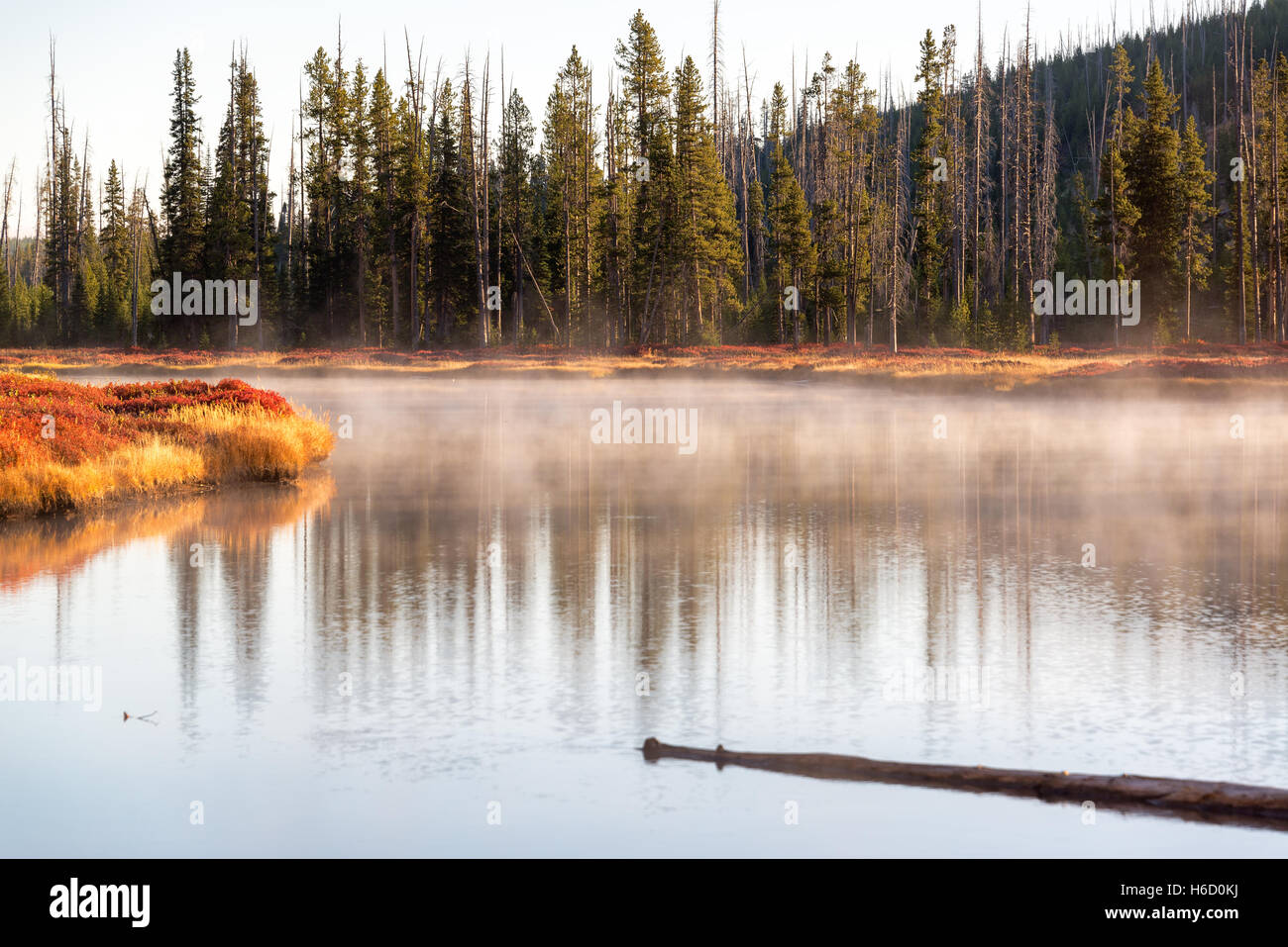 Surface of river hi-res stock photography and images - Alamy