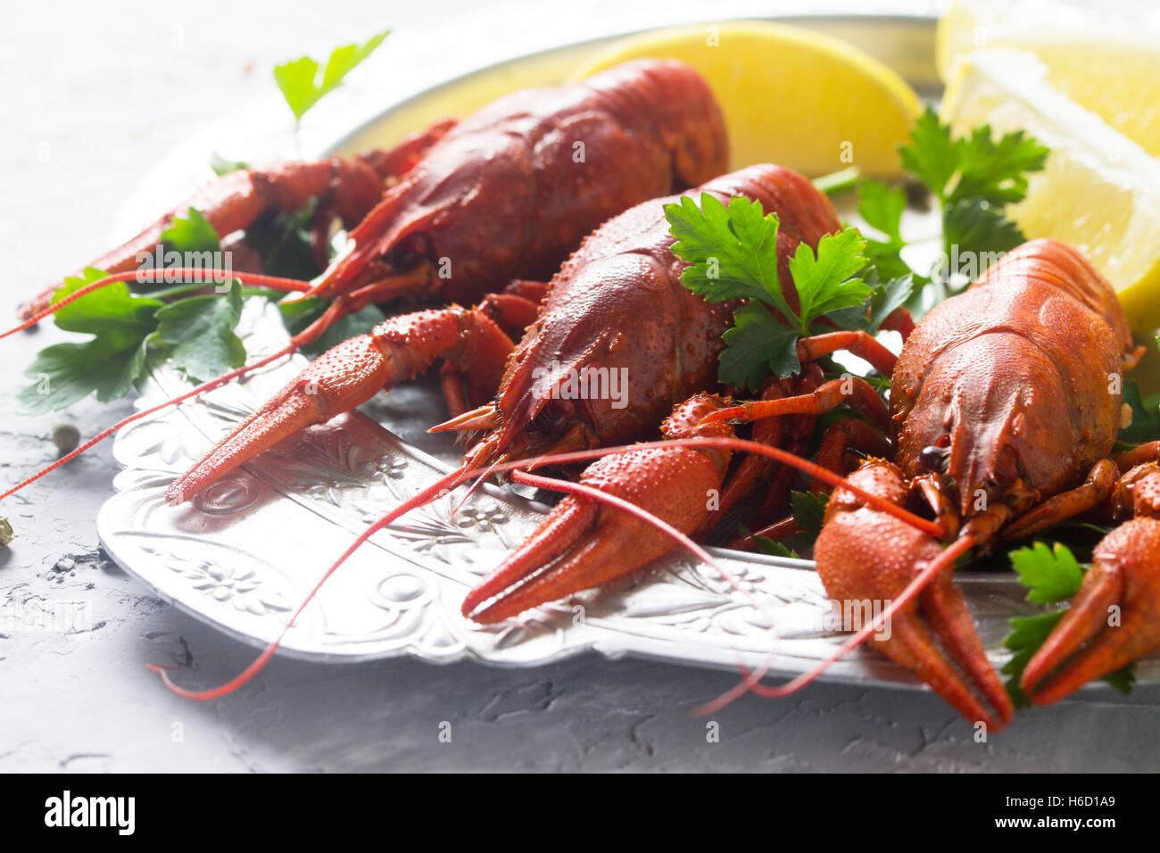 Boiled crayfish, lemon and parsley on a concrete background, selective ...