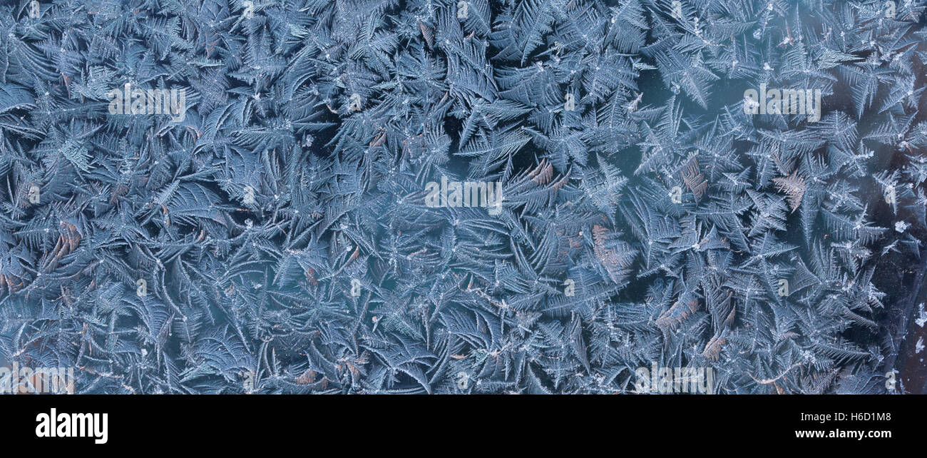 Frosty Winter Backdrop Stock Photo - Alamy