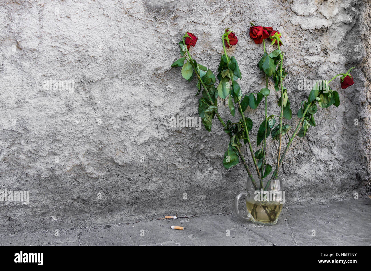 Roses dying abandoned on the ground in a mug with dirty water Stock ...