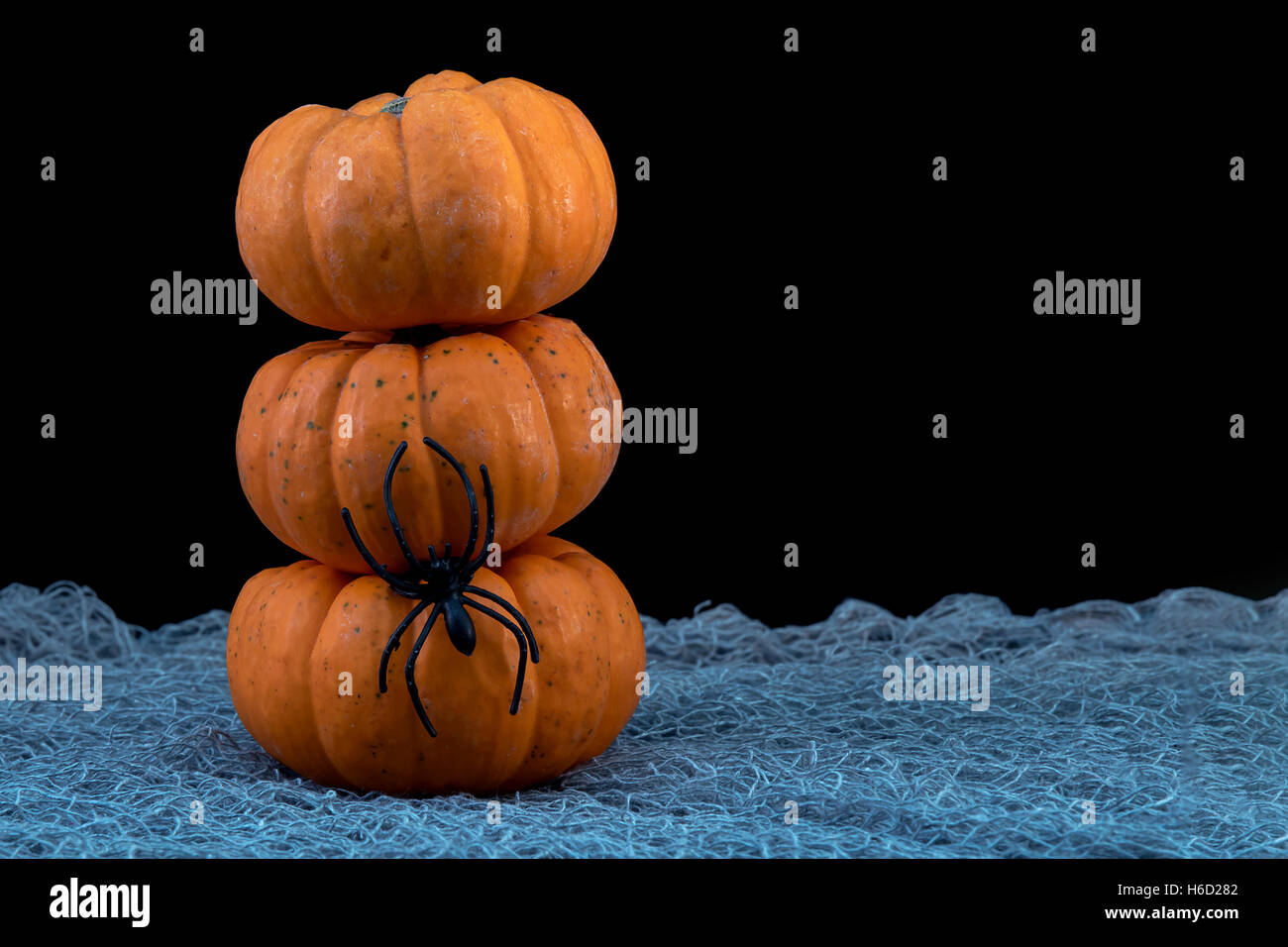 Three mini pumpkins stacked to left with spider and copy space Stock ...