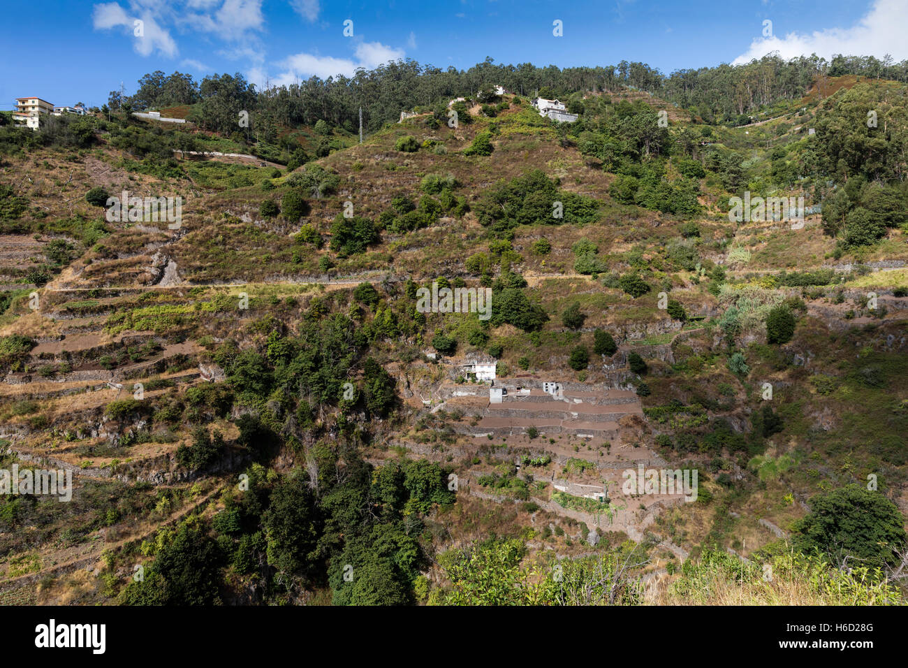 Terraced landscapes hi-res stock photography and images - Alamy