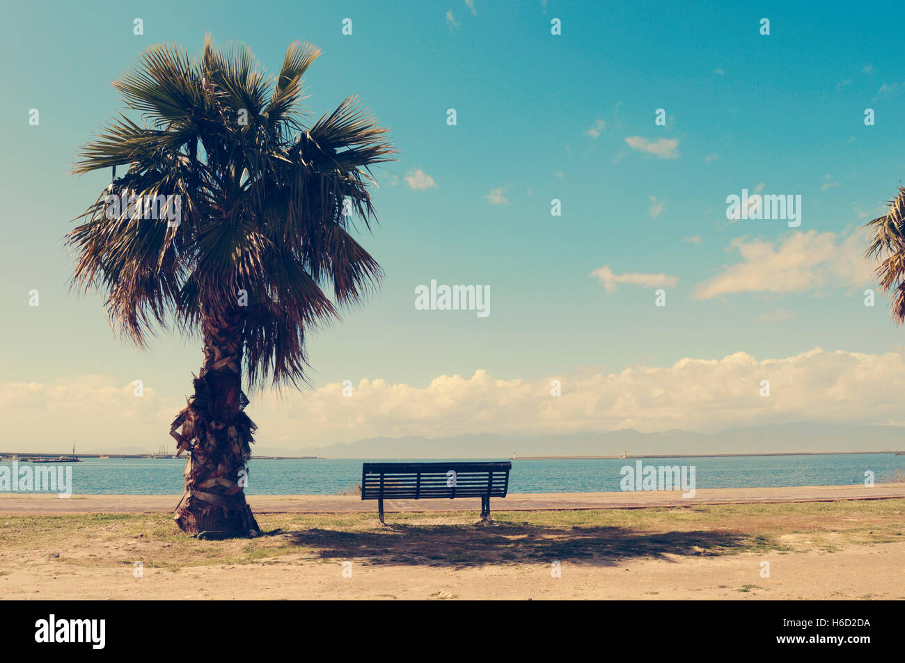 Palm tree bench hi-res stock photography and images - Alamy