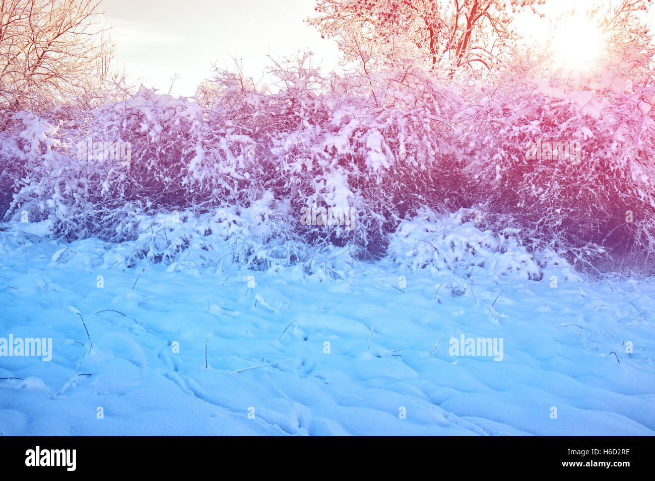winter landscape with morning sun Stock Photo - Alamy