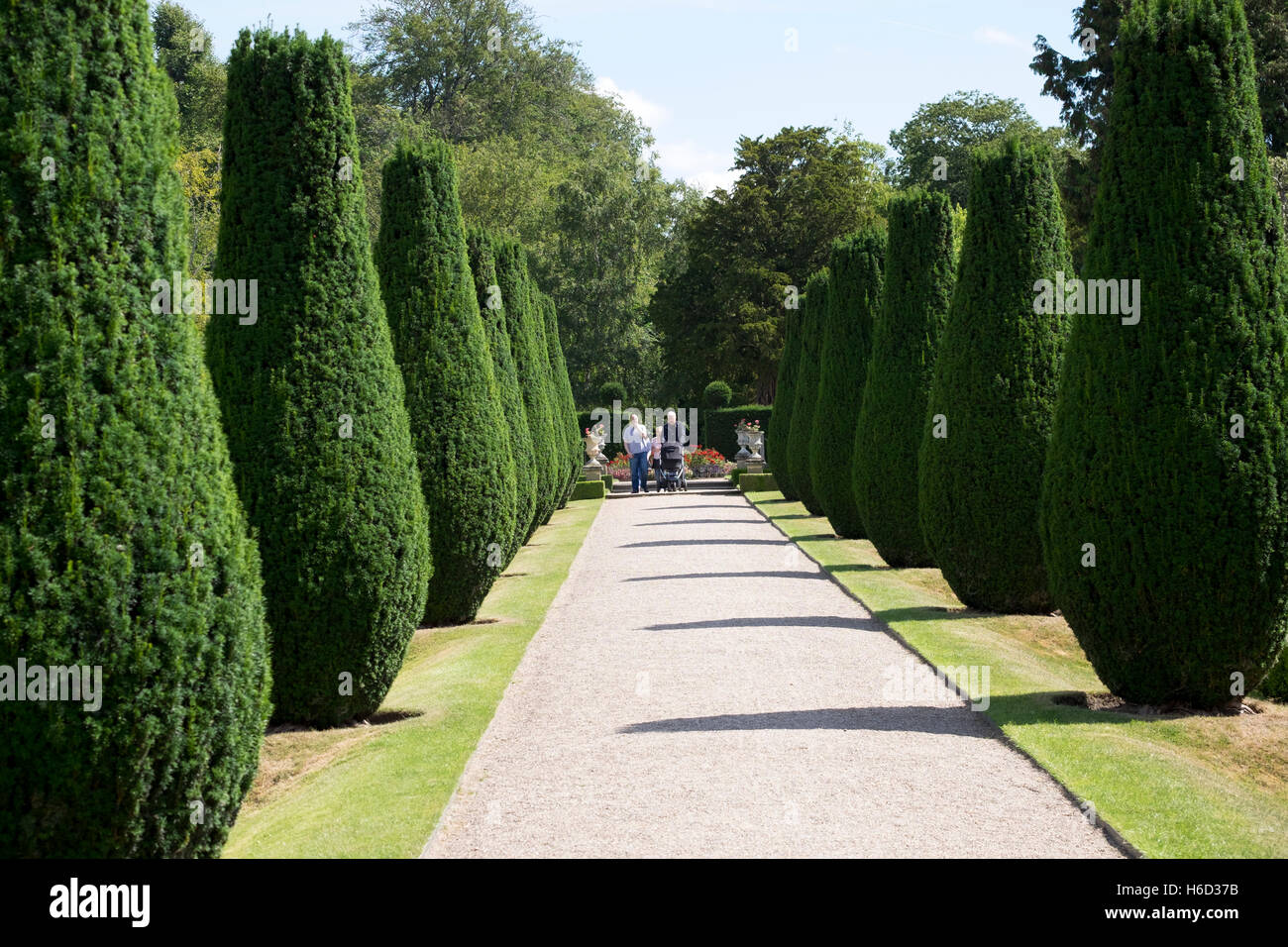 Formal Tree Lined boulevard gardens Stock Photo - Alamy