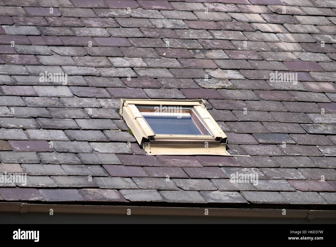 roof window skylight Stock Photo - Alamy