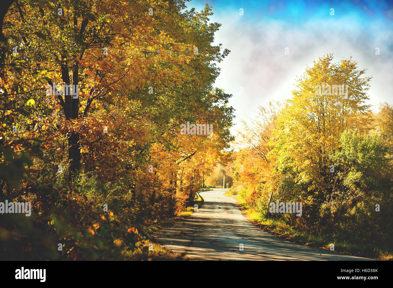 autum, yellow, trees ,sky, red, mountains,light, tree, grass, white ...