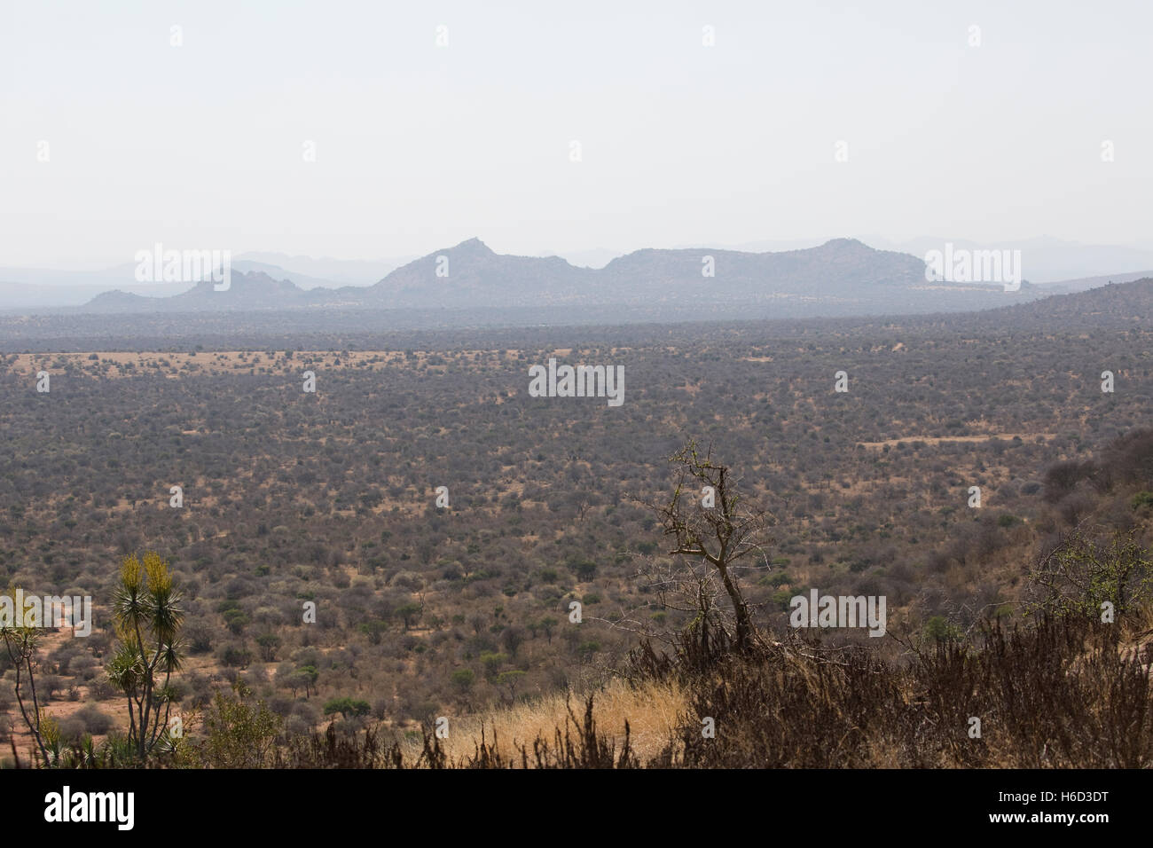 Semi arid landscape hi-res stock photography and images - Alamy
