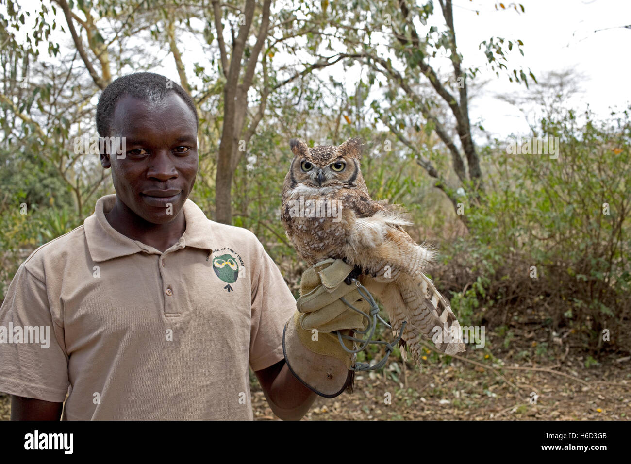 African from Naivasha Owl Trust staff holding Spotted eagle owl Open ...