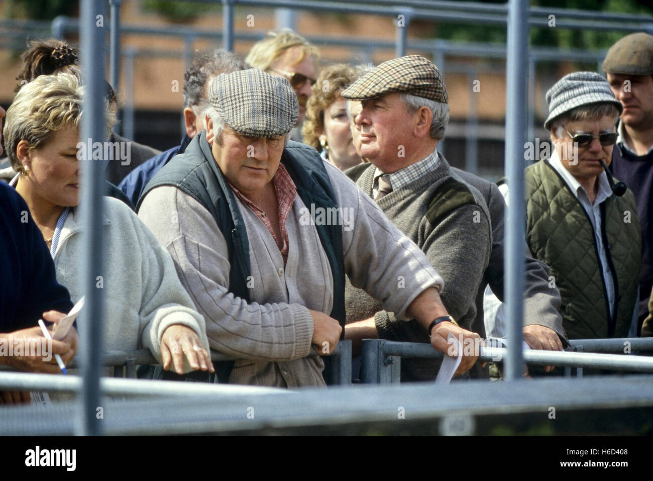 Louth cattle/sheep auction market. Lincolnshire. England. UK Stock ...