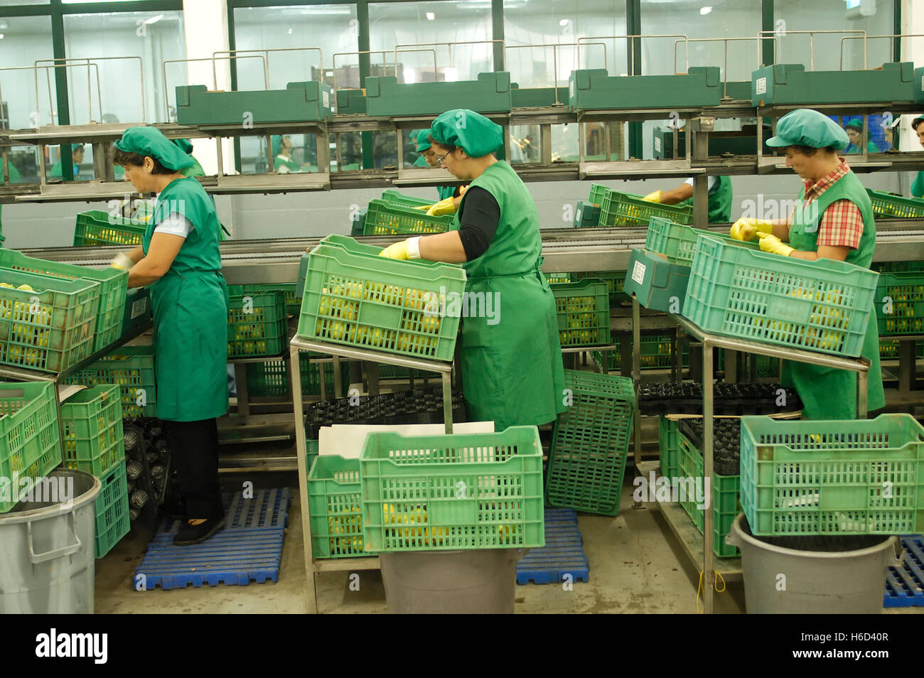 Rocha pear packing and production factory. Portugal. Europe Stock Photo ...